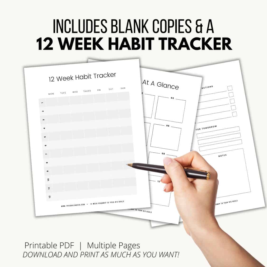 12 Week Goal Setting Worksheet - Free Printables