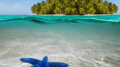 Quotes About Being Tested In Life - The Goal Chaser