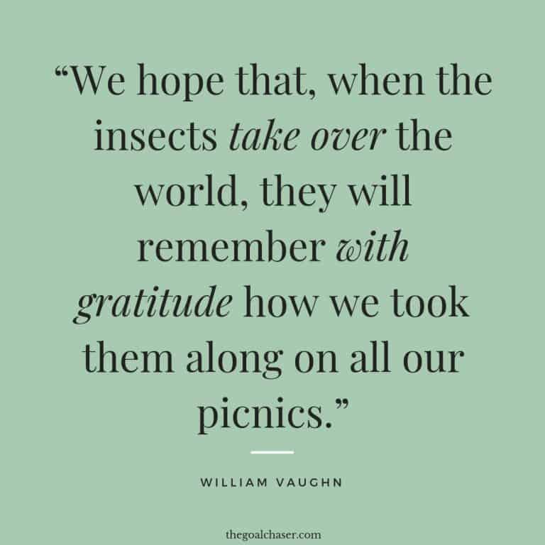 20 Funny Gratitude Quotes & Memes - Because Life Isn't Always Rosy...