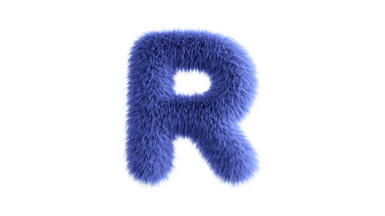Funny Words That Start With R With Definitions 