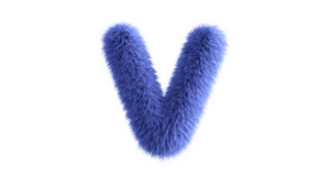 18 Fruits That Start With V - With Descriptions - The Goal Chaser