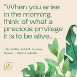 Positive Energy Quotes (55 High Energy & Good Vibes) - The Goal Chaser