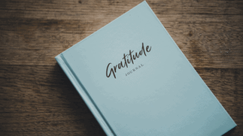 6 Ted Talks On The Power Of Gratitude