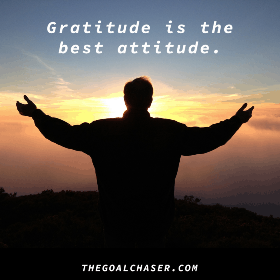 20 Funny Gratitude Quotes & Memes - Because Life Isn't Always Rosy...