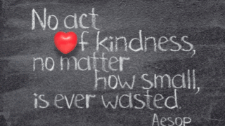 Stop Interfering in Others Life Quotes - The Goal Chaser