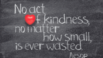 Stop Interfering in Others Life Quotes - The Goal Chaser