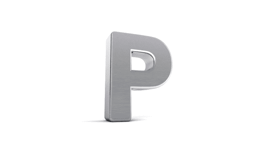 Negative Words Starting With P With Definitions 