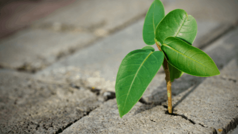 Reliving Memories Quotes - For The Good Old Days - The Goal Chaser