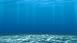 100+ Words To Describe The Ocean 🌊 - Adjectives For the Sea