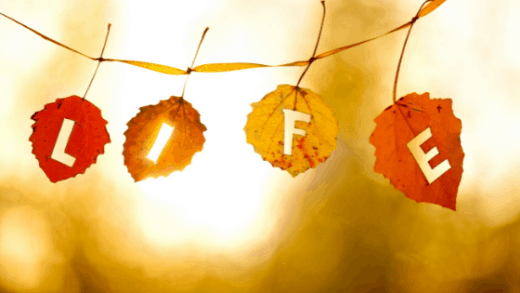 Quotes About Being Tested In Life - The Goal Chaser