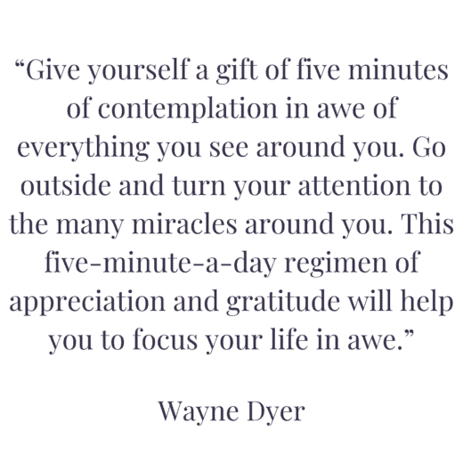 Contemplation Quotes - The Power of Deep Thought - The Goal Chaser