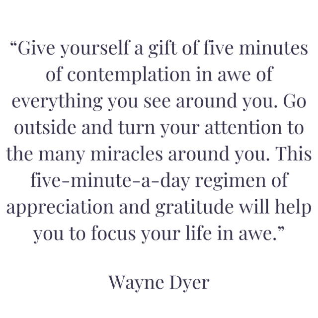 Contemplation Quotes - The Power of Deep Thought - The Goal Chaser