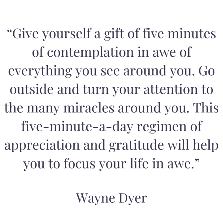 Contemplation Quotes - The Power of Deep Thought - The Goal Chaser