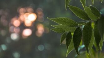 50 Deep One Line Quotes That Really Get You Thinking