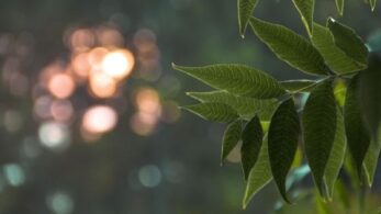 50 Deep One Line Quotes That Really Get You Thinking