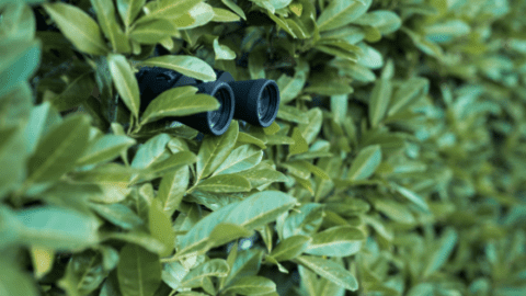 Quotes About Being Tested In Life - The Goal Chaser