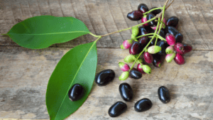 18 Fruits That Start With V - With Descriptions - The Goal Chaser