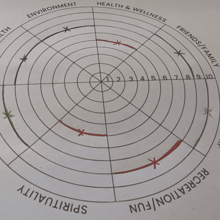 A Life Audit: The Simple Guide to Gaining Clarity & Direction