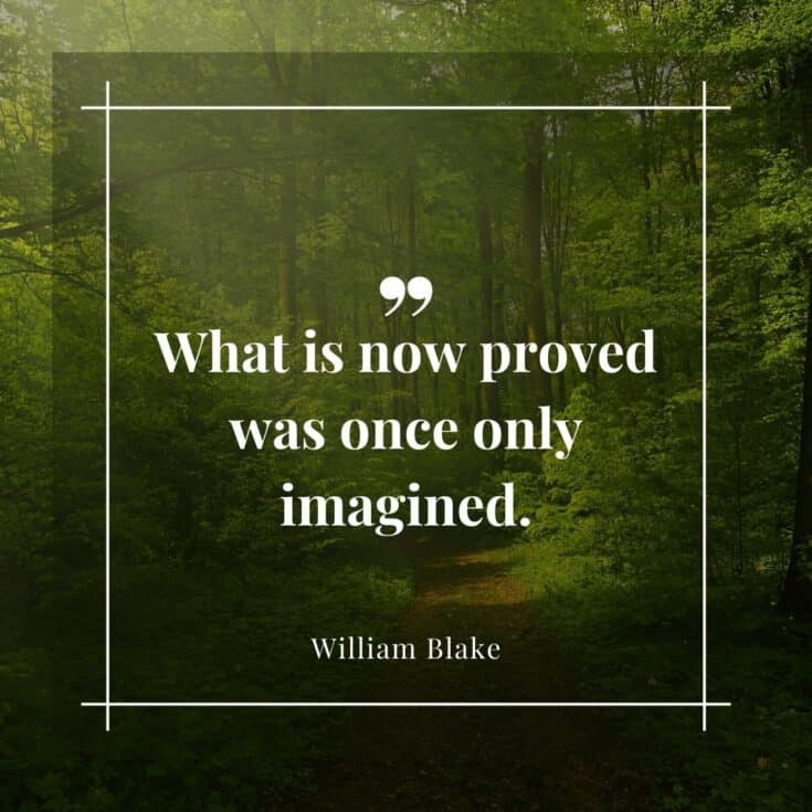 42 Inspiring Quotes on Innovation - The Goal Chaser