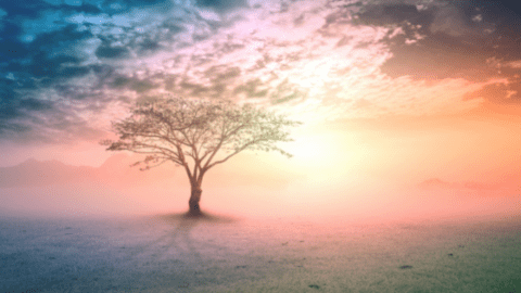 Quotes About Being Tested In Life - The Goal Chaser