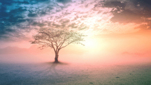 Life Is Fragile - Quotes & Sayings To Inspire - The Goal Chaser