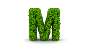 Positive Words That Start With M (With Definitions)