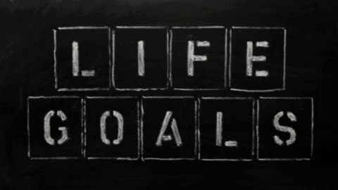 36 Inspirational Quotes About Life Goals - The Goal Chaser