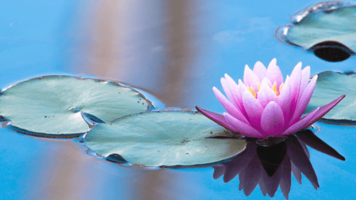 Quotes About Being Tested In Life - The Goal Chaser