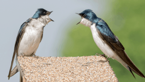 Quotes About Being Tested In Life - The Goal Chaser