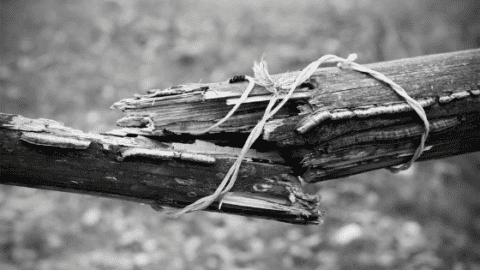 Quotes About Being Tested In Life - The Goal Chaser