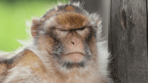 Quotes About Being Tested In Life - The Goal Chaser