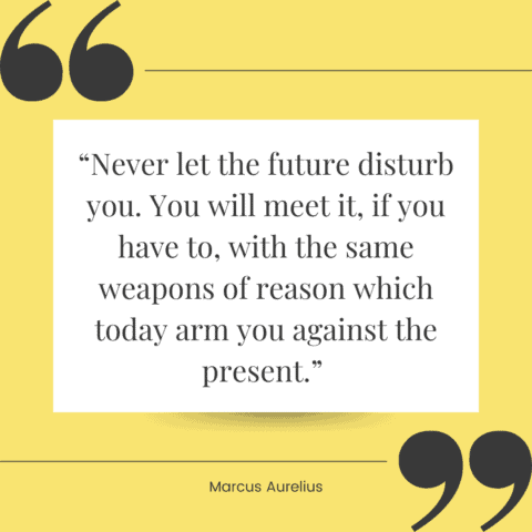 42 of The Best Stoic Quotes For Life - The Goal Chaser