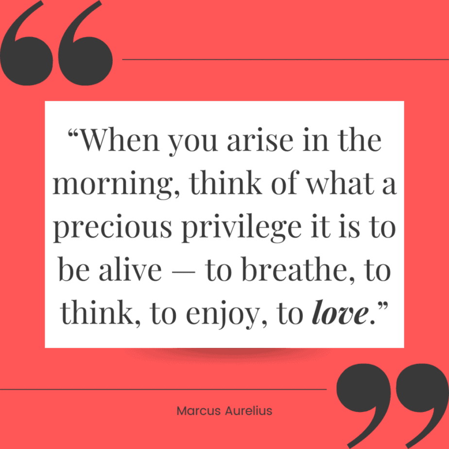 42 of The Best Stoic Quotes For Life - The Goal Chaser