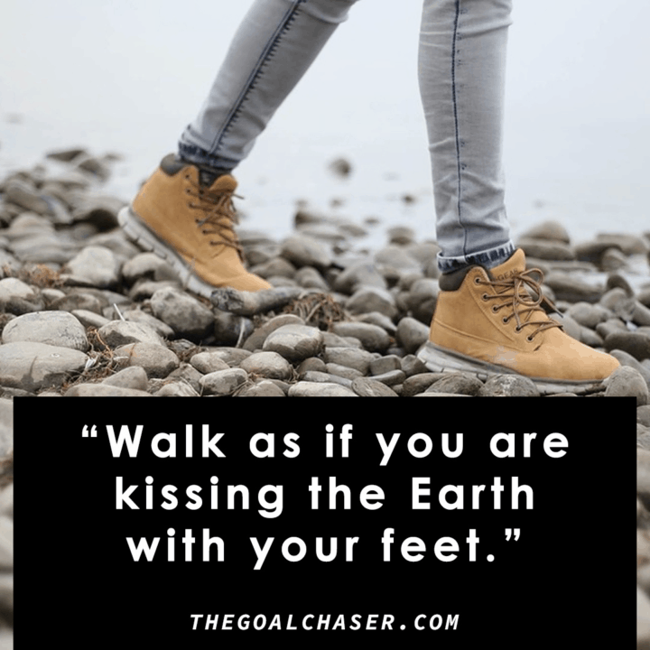 20 Funny Gratitude Quotes & Memes - Because Life Isn't Always Rosy...