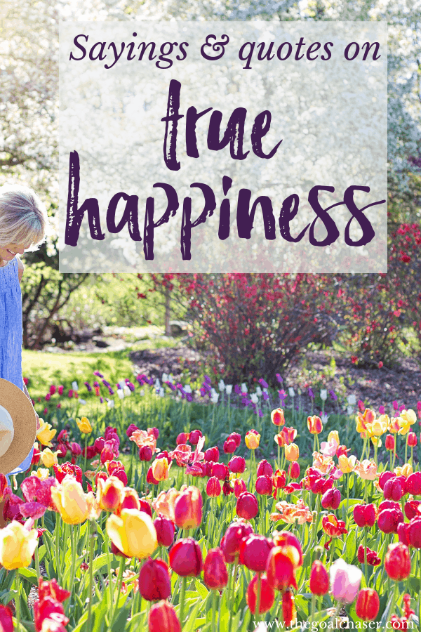 True Happiness Quotes & Sayings
